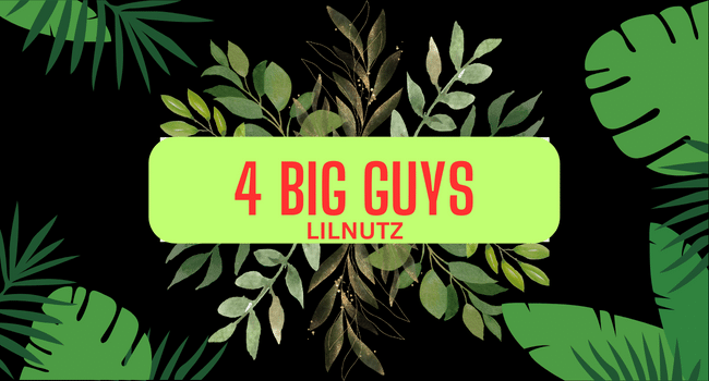4 Big Guys Lyrics – LILNUTZ - KULFIY.COM