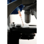 How to Streamline Your Biotech Business - KULFIY.COM