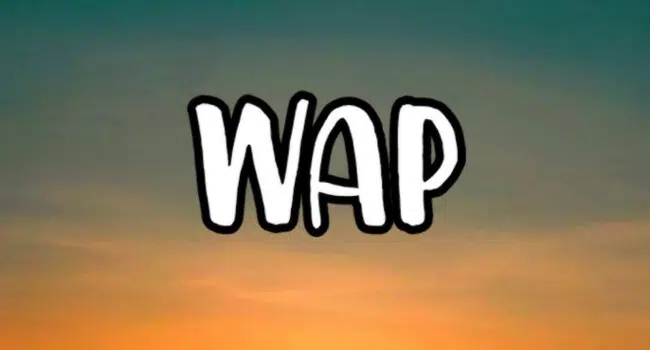 Cardi B WAP Lyrics – Cardi B | WAP - KULFIY.COM