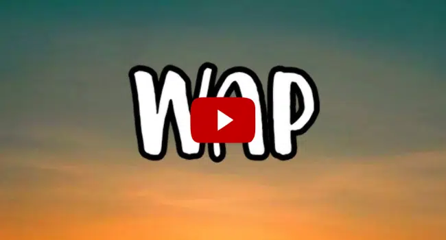 Cardi B WAP Lyrics – Cardi B | WAP - KULFIY.COM